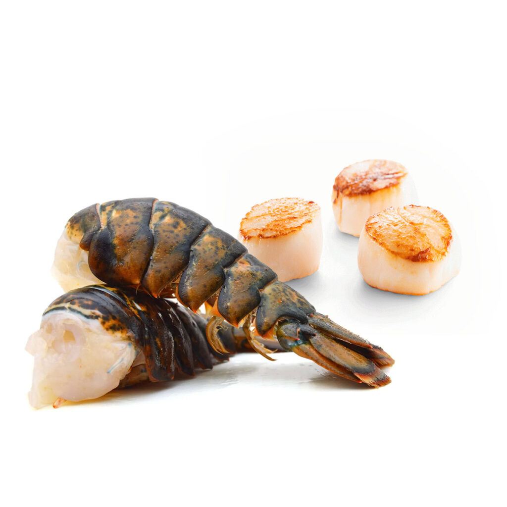 The ShopLobster Special - ShopLobster